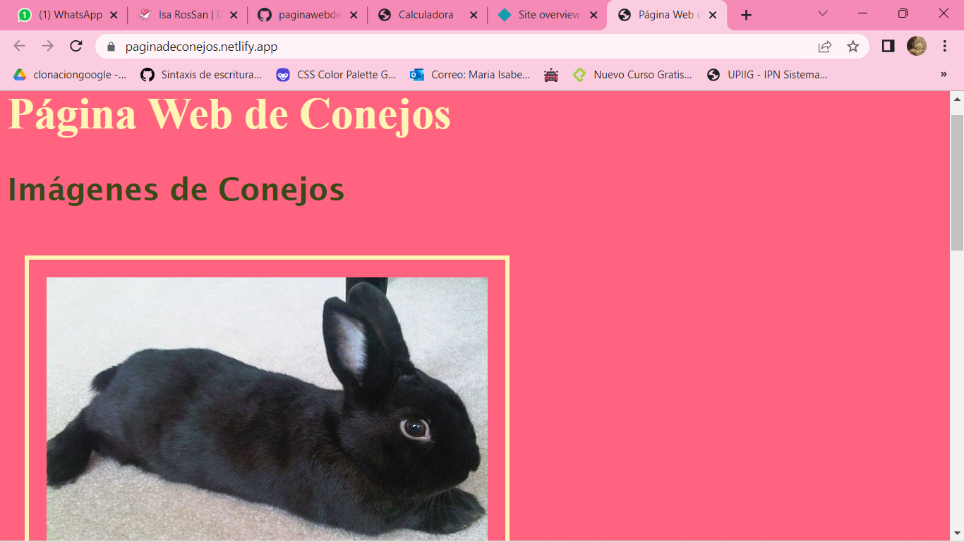 Isa RosSan | Desarrollo Web Front-End